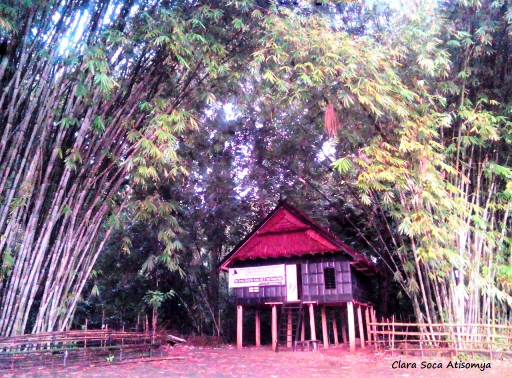 TAHUKAH KAMU ADA ‘SUKU BADUY’ DI BULUKUMBA SULSEL? TAHUKAH KAMU ADA ‘SUKU BADUY’ DI BULUKUMBA SULSEL?